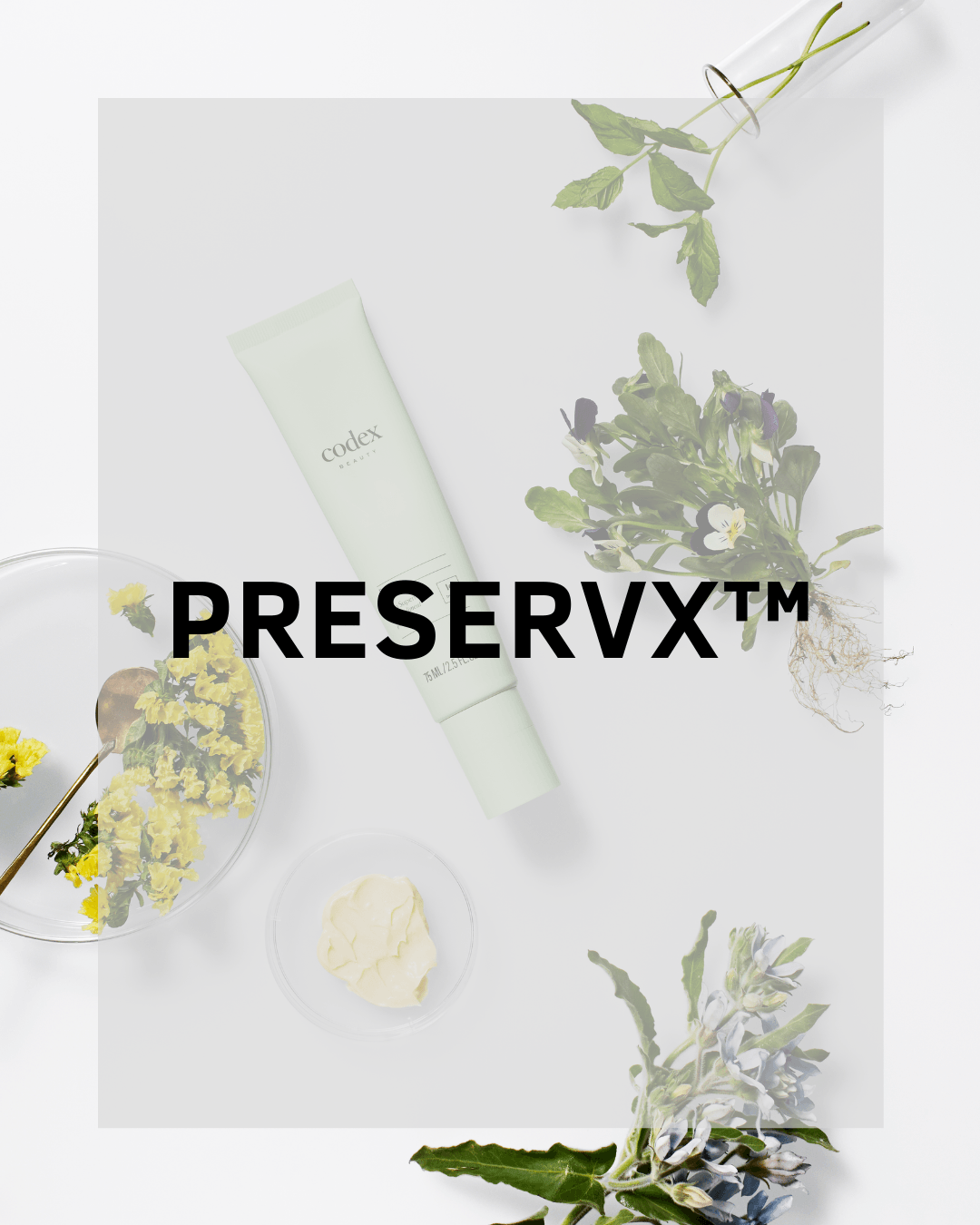 Codex Breakthrough: Our Food-Grade Preservation System – Codex Labs Corp